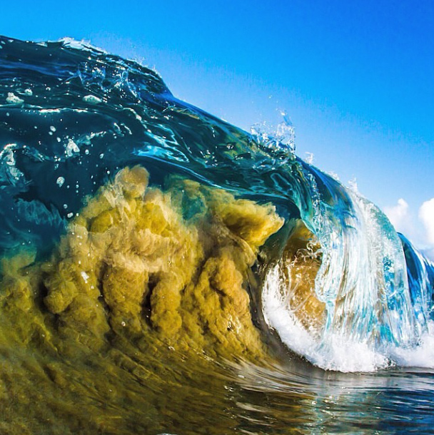 Le top des plus belles photos de vagues