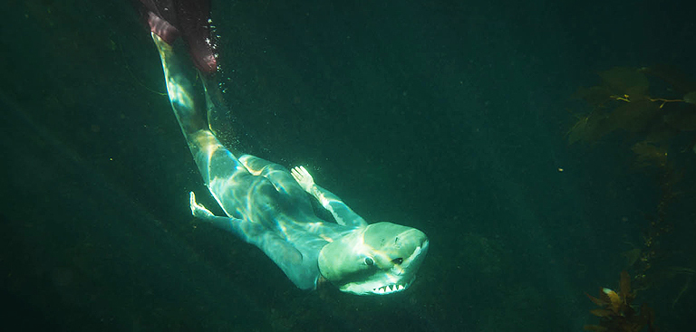 L'artiste Paul Roustan peint sur des femmes nues avec une tête de requin