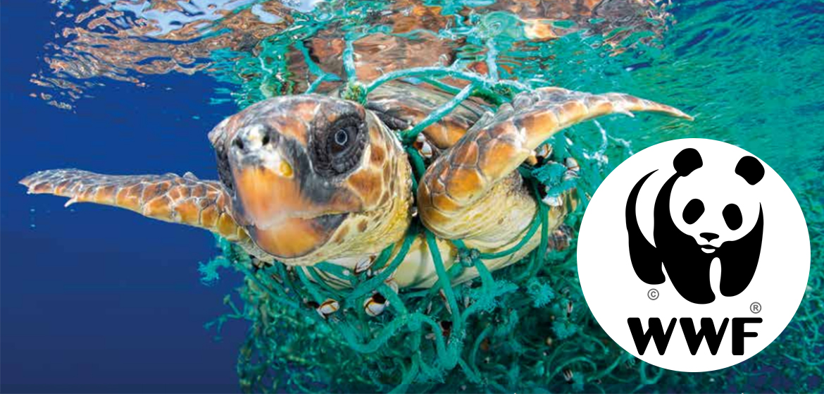 WWF déclare que la méditerranée est la mer la plus polluée du monde