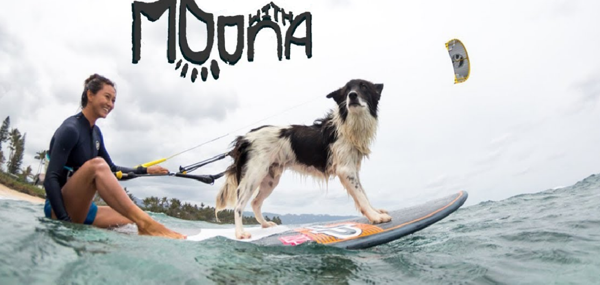 Moona Whyte en kitesurf avec son chien à Hawaii