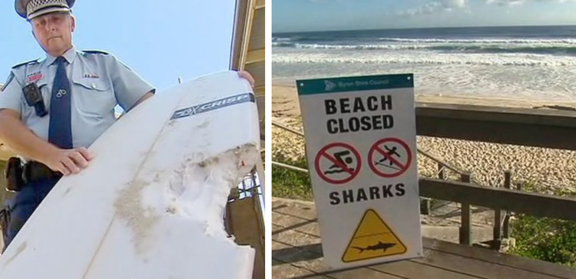 Un surfeur grièvement blessé par un requin à Byron Bay en Australie