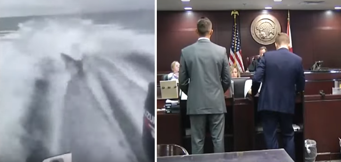 10 jours de prison pour avoir traîné un requin derrière son bateau