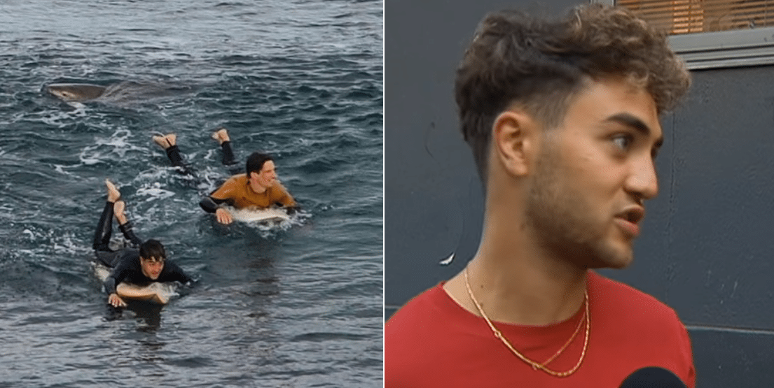 Australie : Attaqué par un requin, un surfeur français le frappe