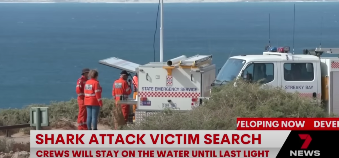 Attaque de requin : Un surfeur australien tué à Granite Rock